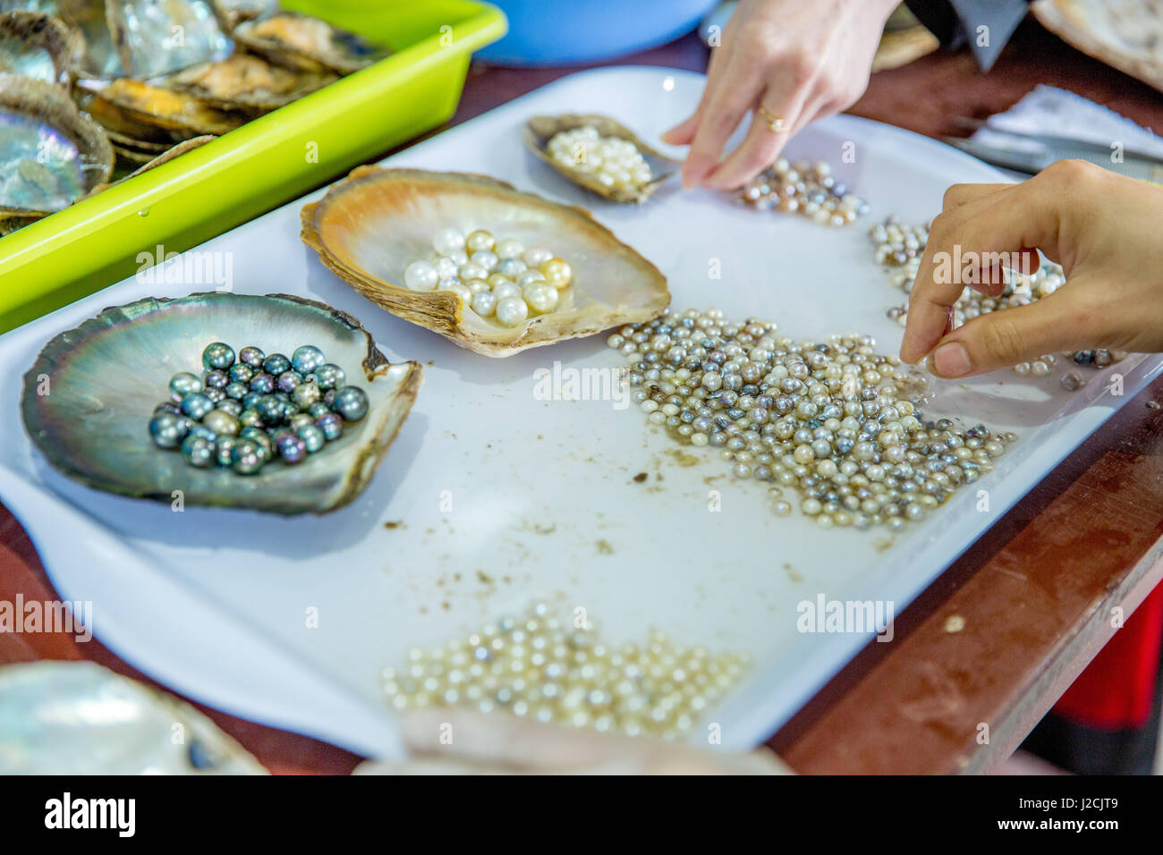 Vietnam, Quảng Ninh, thành phạ Hạ Long, Legend Pearl Halong Bay. Pearl ...