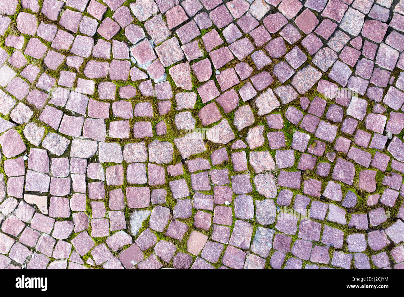 Brick pavement tile, top view. Urban texture as background Stock Photo ...