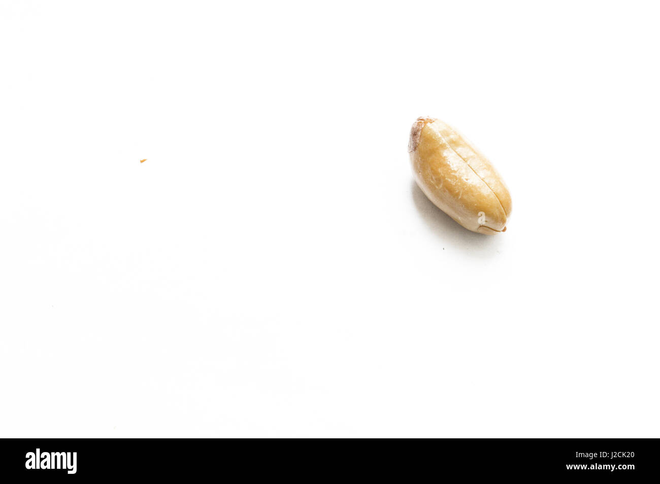 Single peanut isolated on hi-res stock photography and images - Alamy
