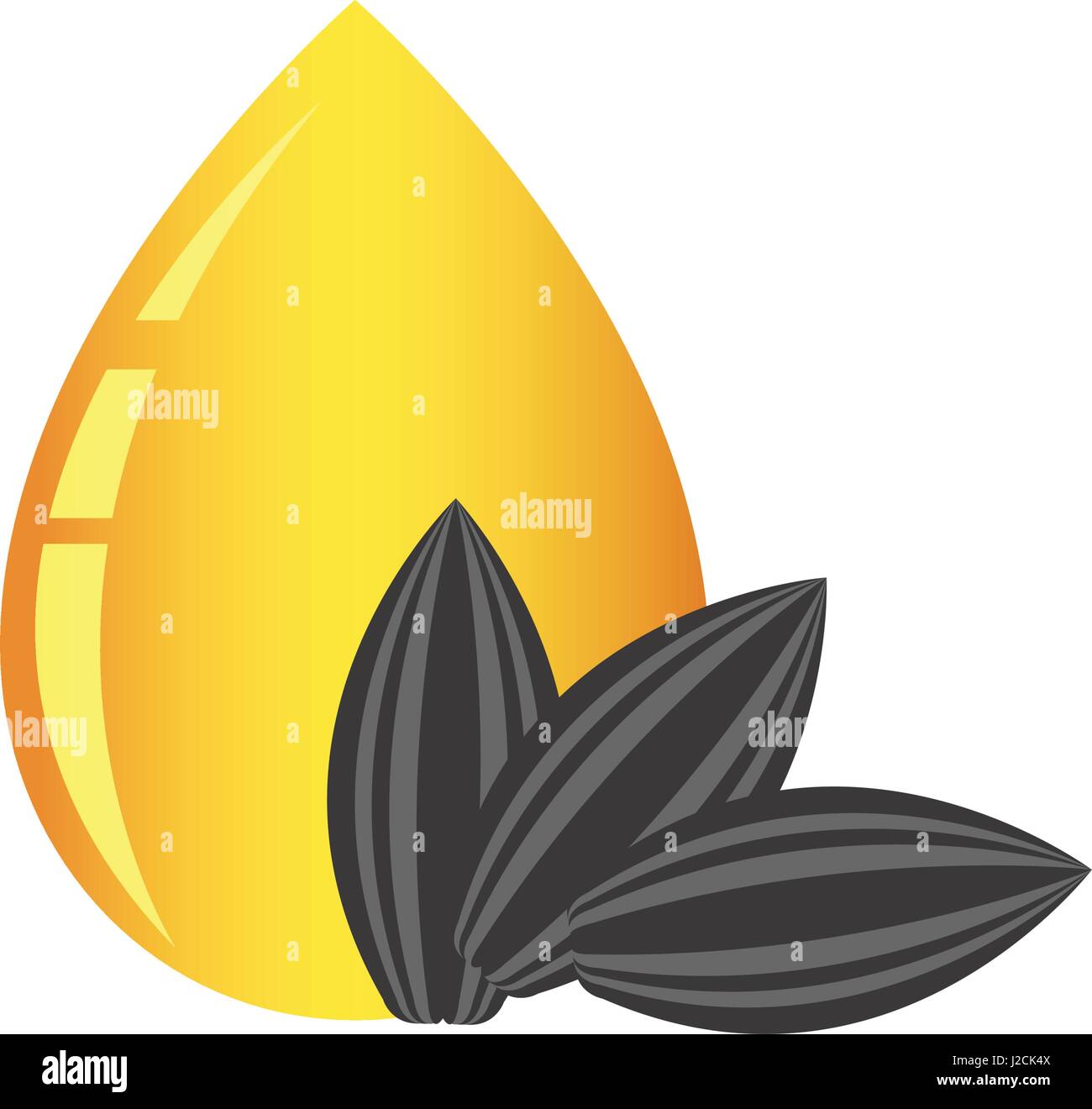 sunflower oil, flower, seed sunflower concept. vector illustration ...