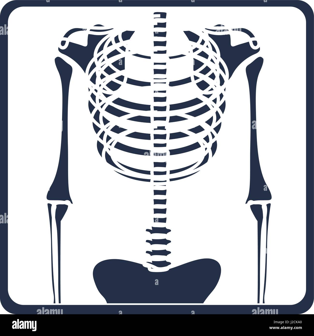 white background with dark blue symbol of chest radiography Stock ...