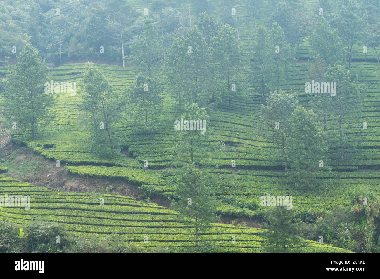 Background java indonesia hi-res stock photography and images - Alamy