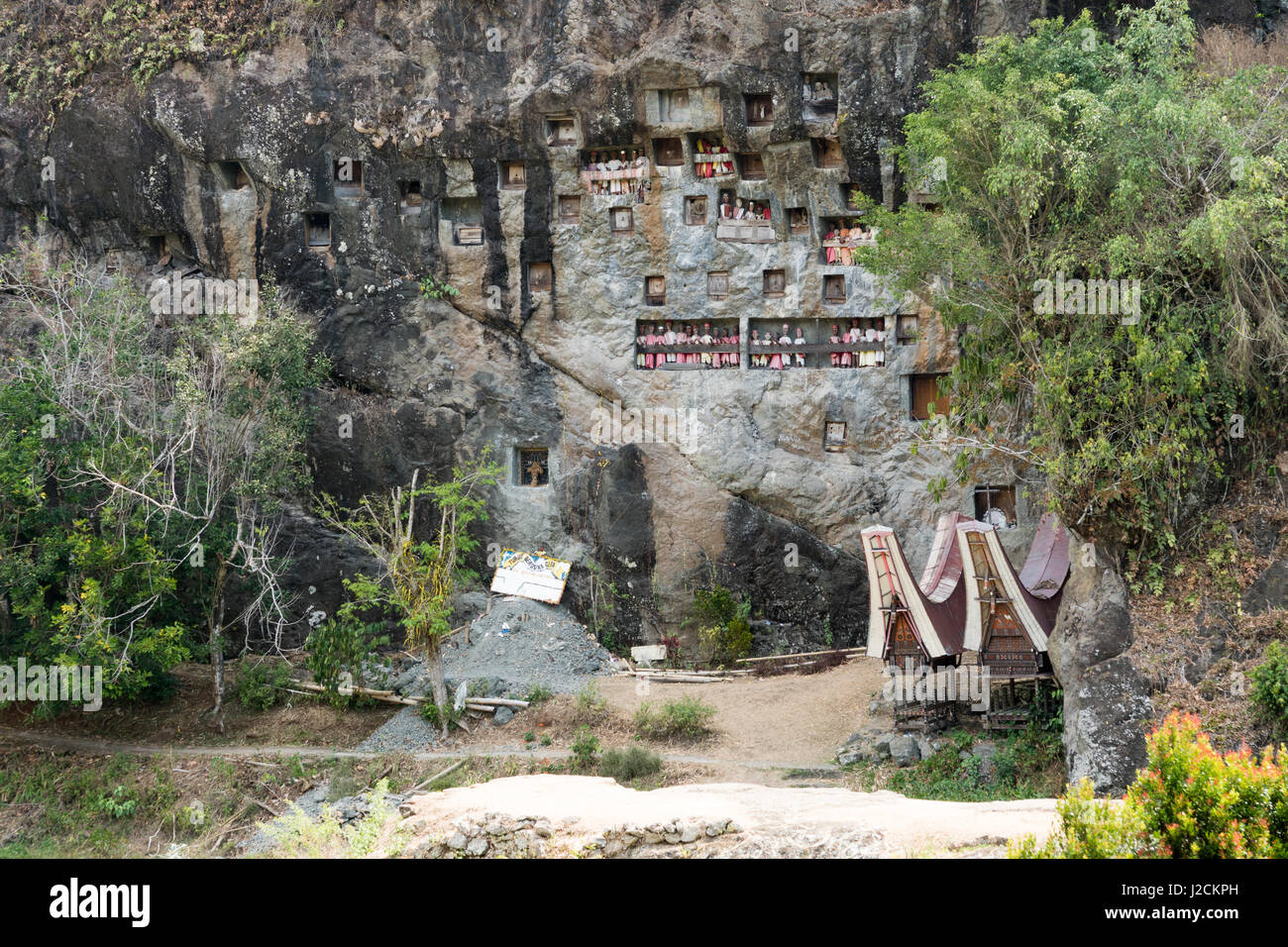 Indonesia, Sulawesi Selatan, Tana Toraja, Torajaland, Tau Dew are ...