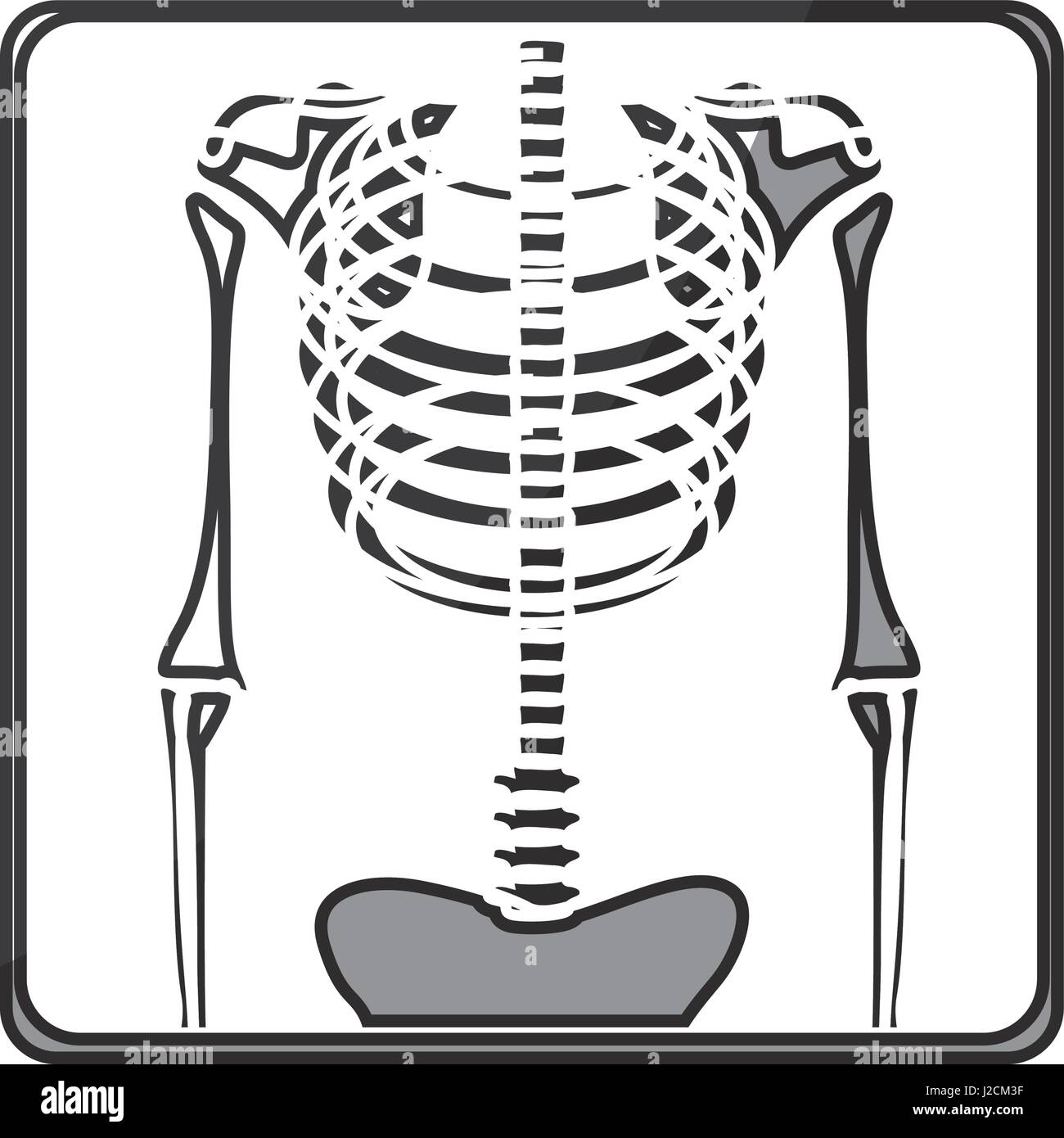 grayscale silhouette with symbol of chest radiography Stock Vector ...