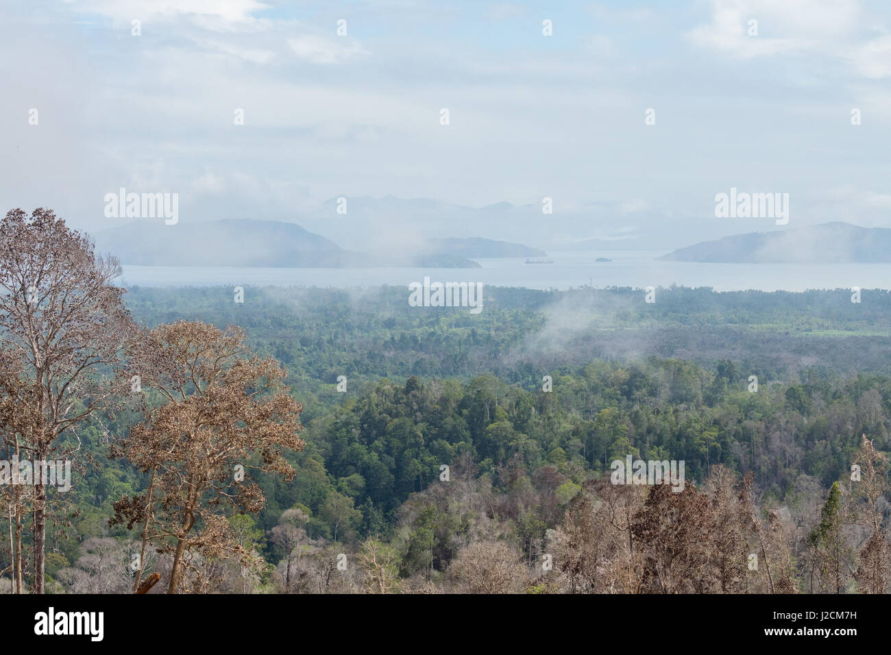 Indonesia, Maluku Utara, Kabupaten Halmahera Timur, landscape in fog in ...