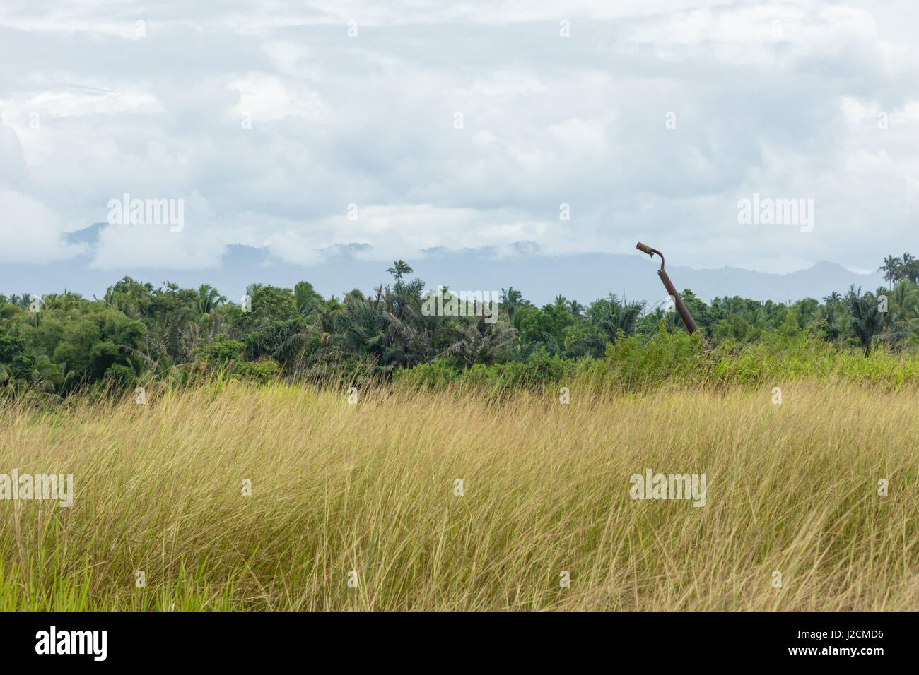 Indonesia, Maluku Utara, Kabupaten Halmahera Utara, Secluded Nature on ...