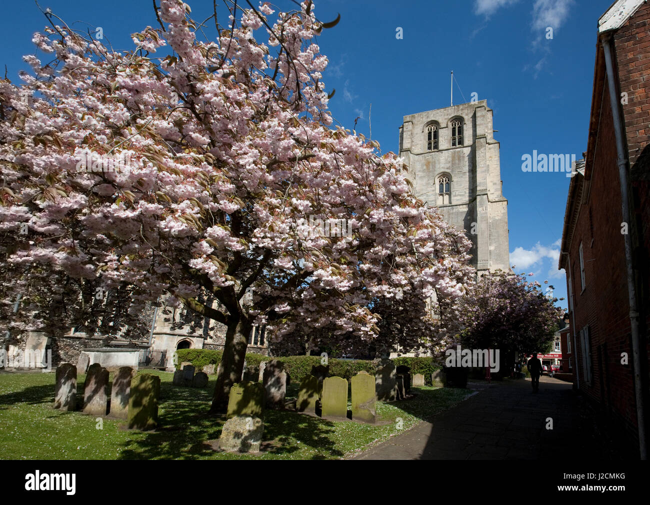 St Michael's Church Beccles Suffolk England Stock Photo - Alamy