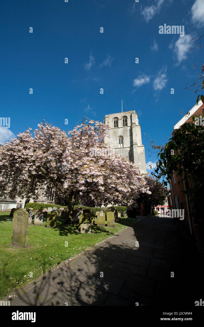 St Michael's Church Beccles Suffolk England Stock Photo - Alamy
