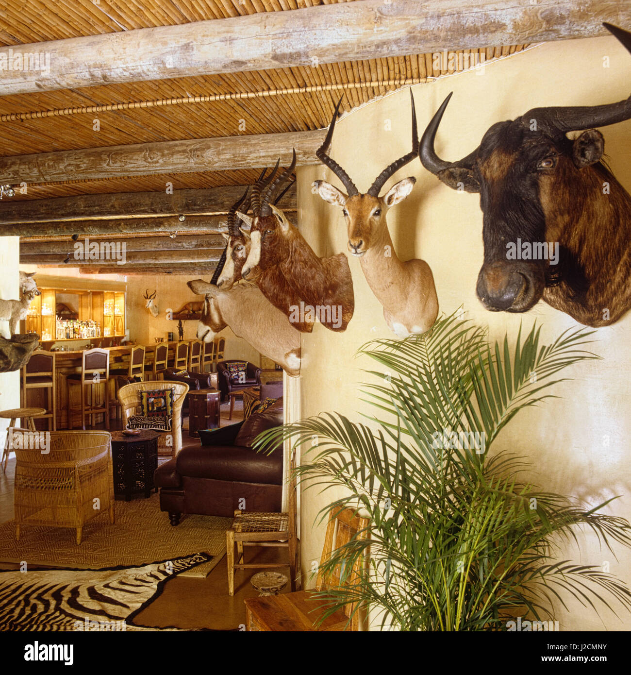 Animal heads in rustic living space Stock Photo - Alamy