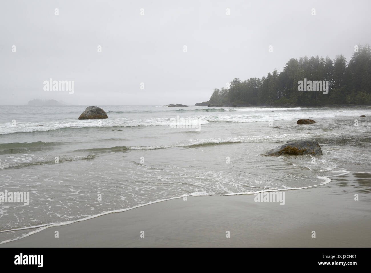 Canada, British Columbia, Vancouver Island. Rocks and surf in the mist ...