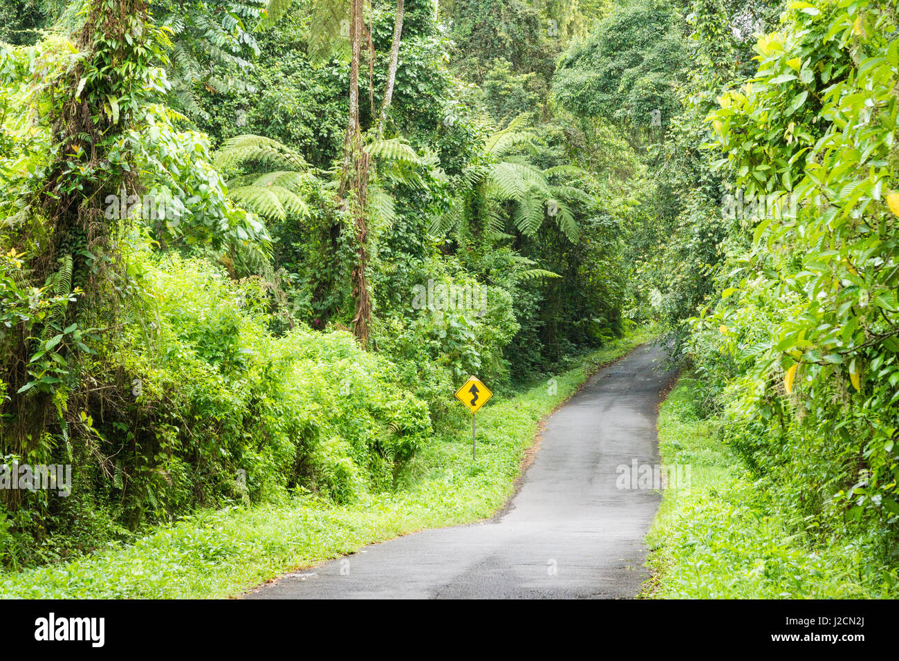 East java jungle road hi-res stock photography and images - Alamy