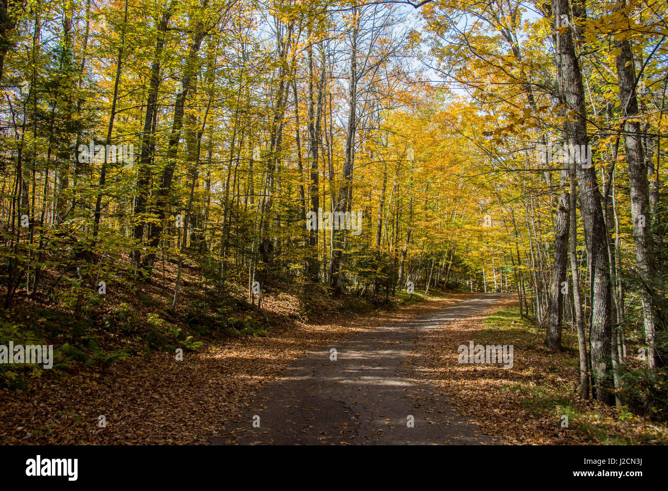 Remote road in Mercer, Wisconsin Stock Photo - Alamy