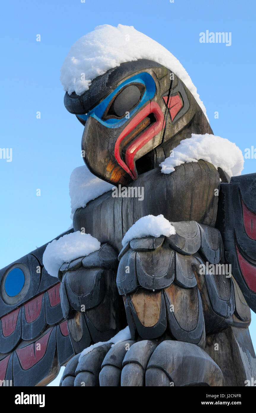 Canada, British Columbia, Vancouver Island. Eagle above Killer Whale ...