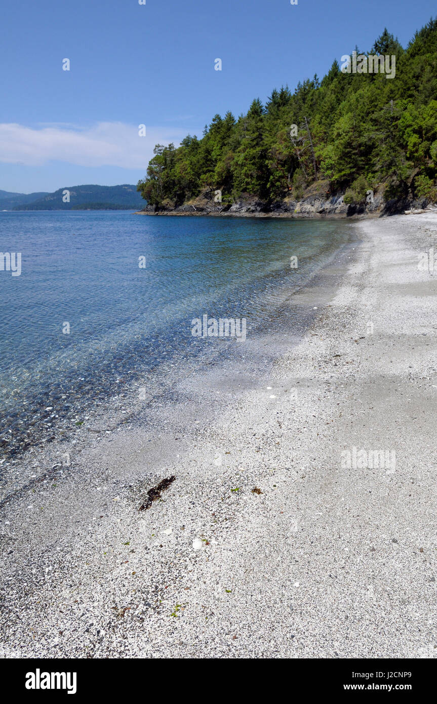 Canada, British Columbia, Gulf Islands, Portland Island. Shell and rock ...