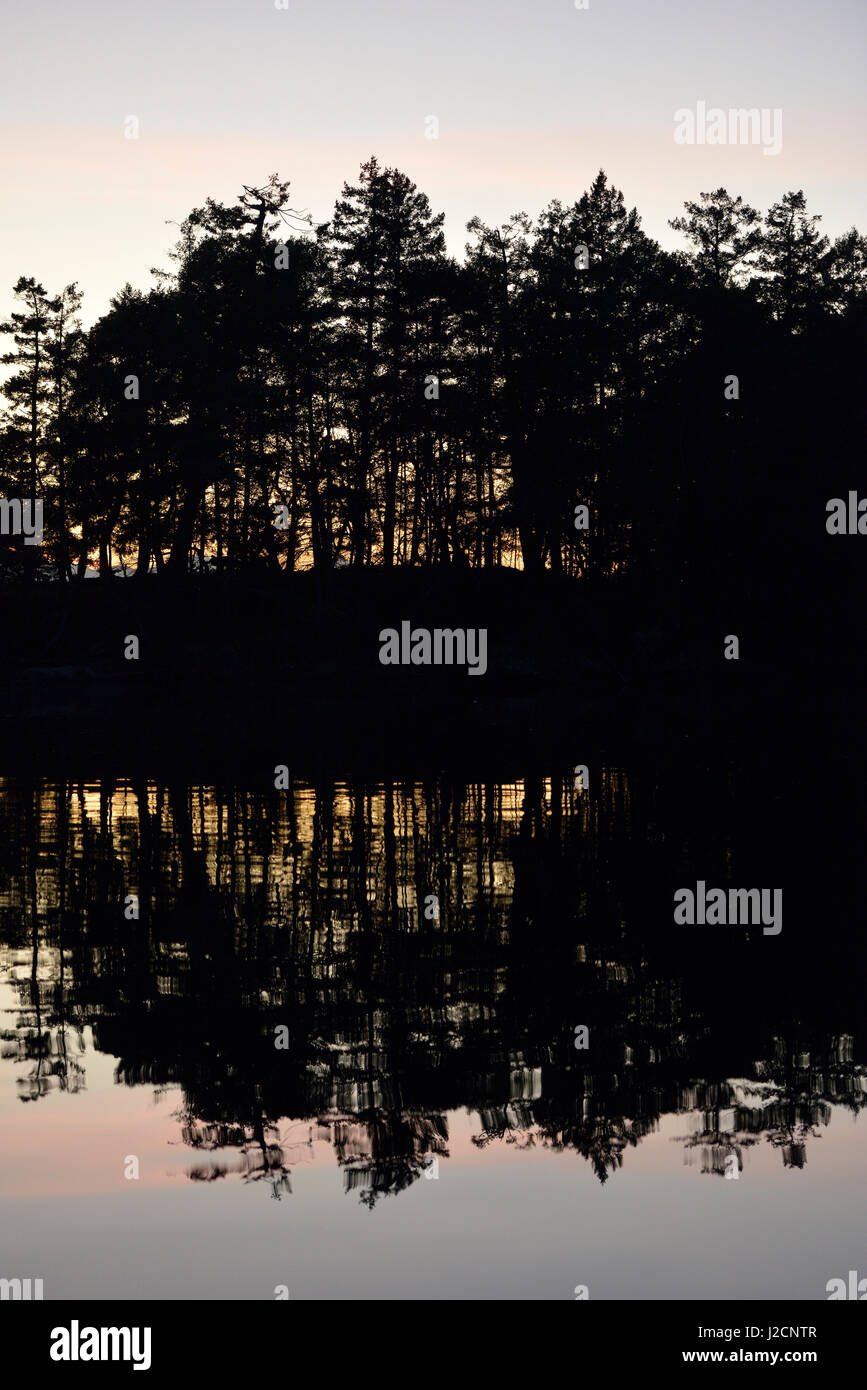 Canada, British Columbia, Gulf Islands, Wallace Island. Trees reflected ...