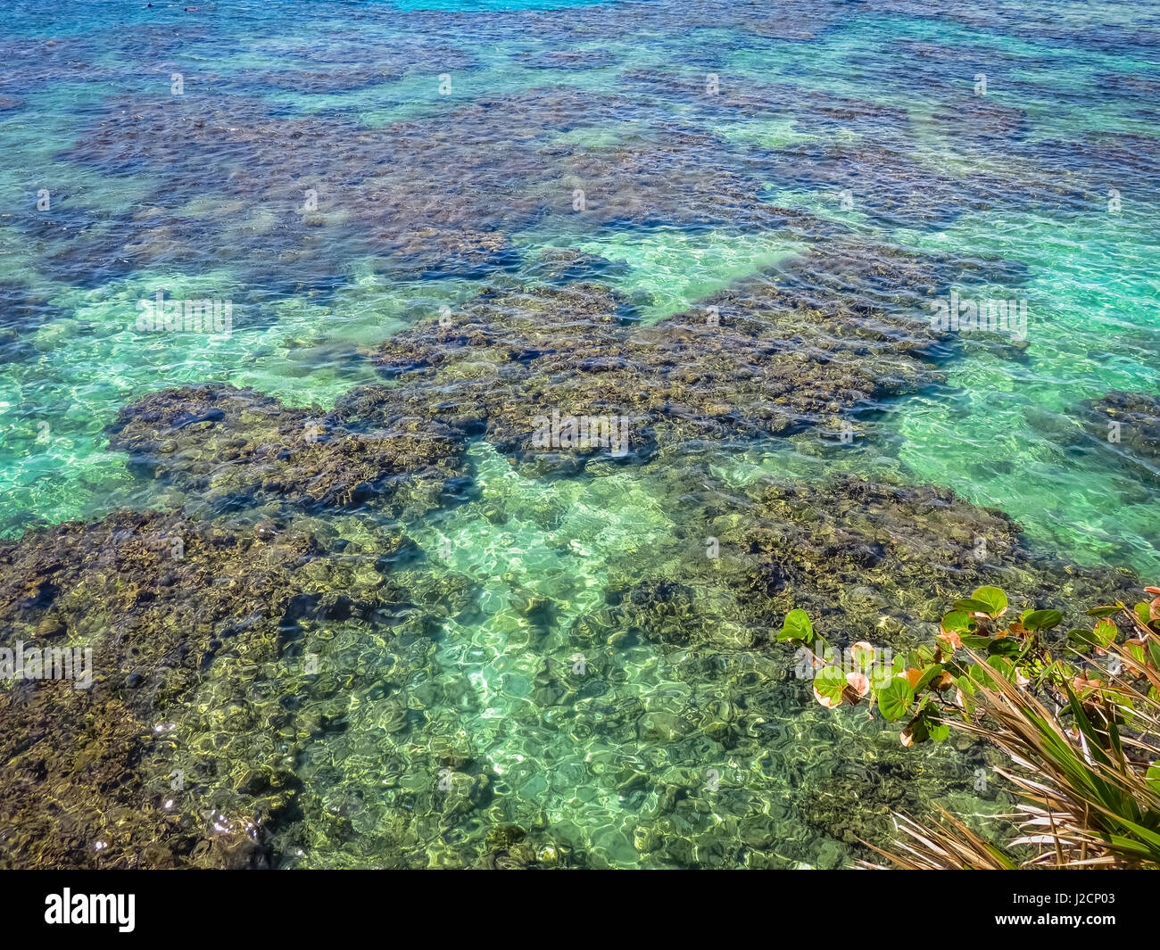 Seascape of the blue turquoise clear tropical ocean water and reef ...