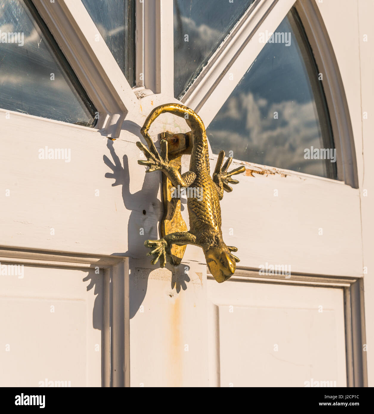 White wooden door to house with a brass knocker shaped like a lizard ...
