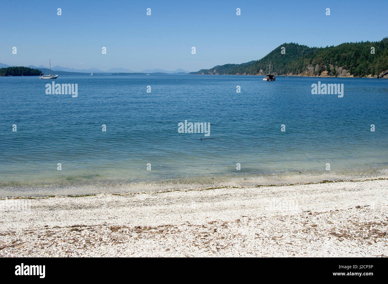 Canada, British Columbia, Galiano Island, Montague Harbour. White shell ...