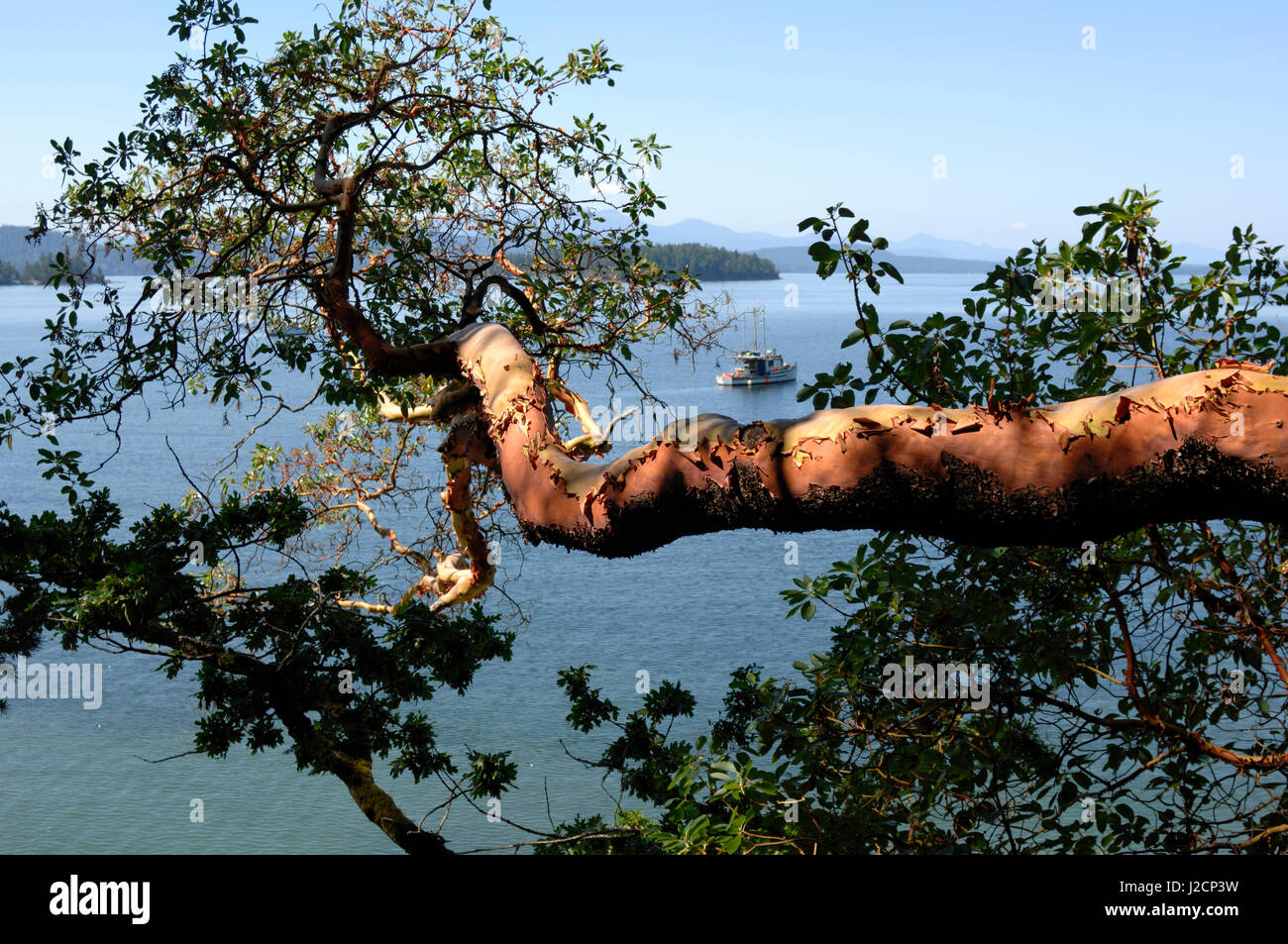 Montague harbour hi-res stock photography and images - Alamy