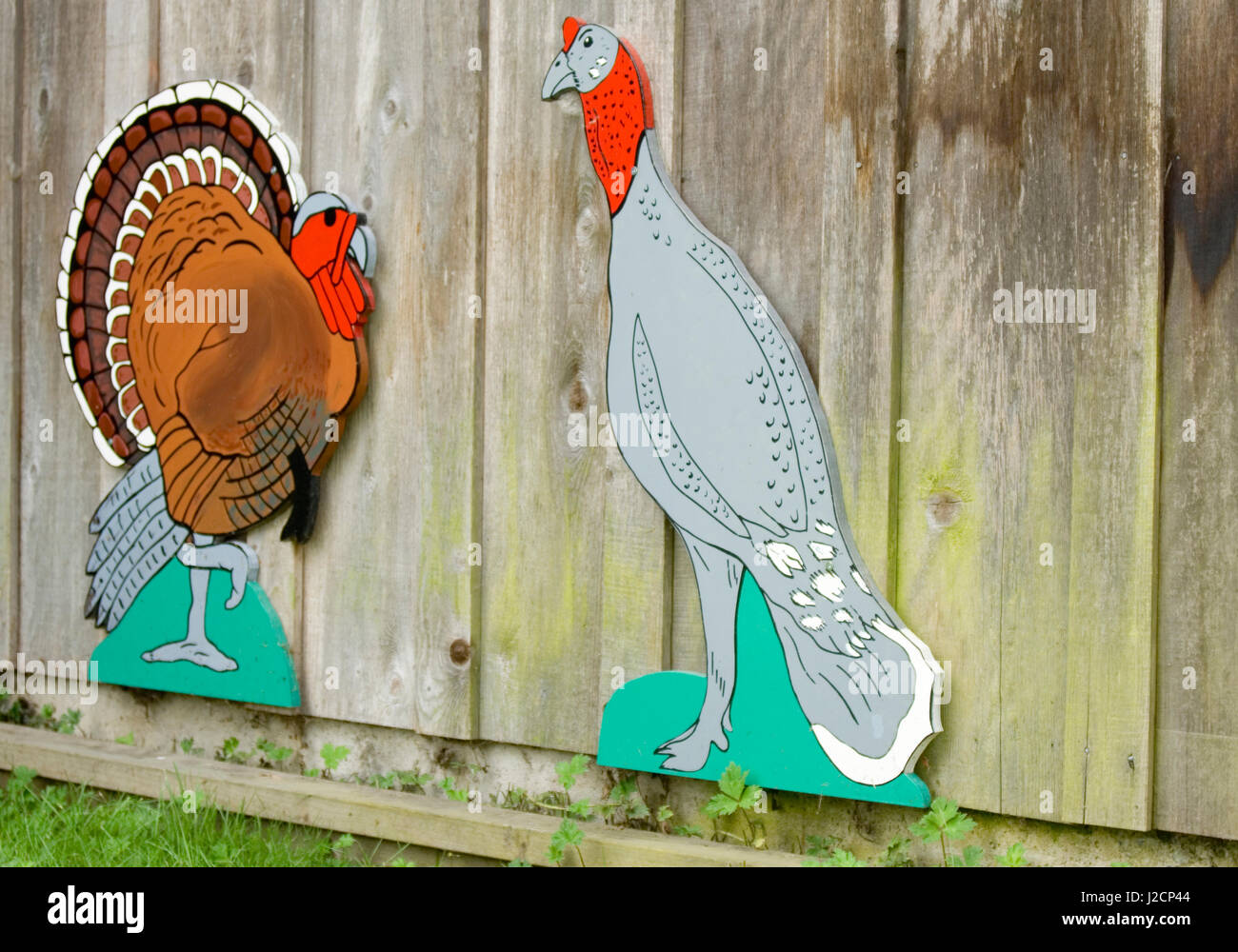 Canada, British Columbia, Cowichan Valley, Duncan. Painted rooster and ...