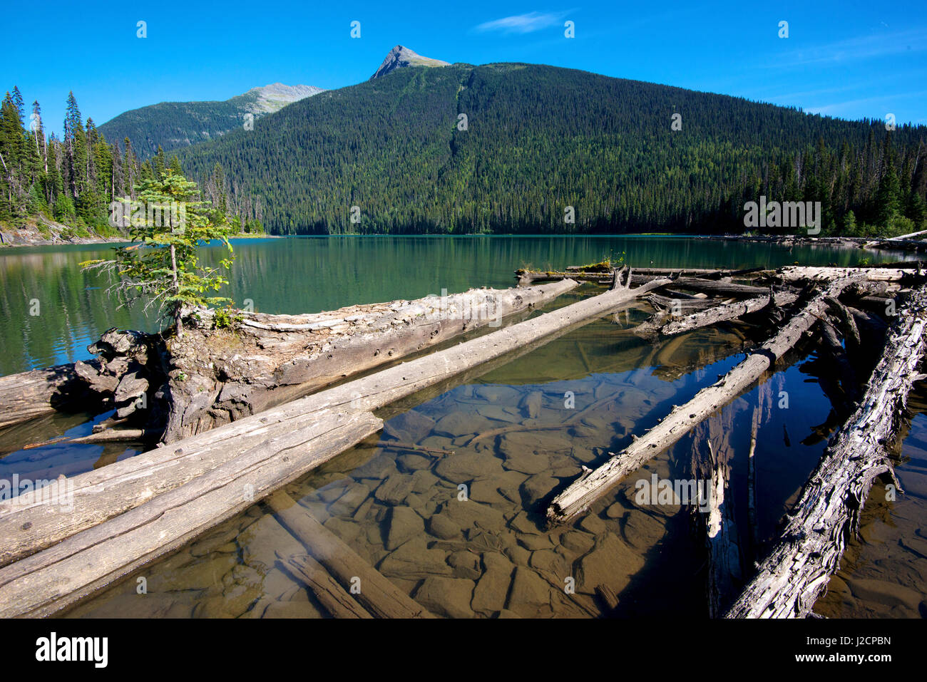 Mathew Wright High Resolution Stock Photography and Images - Alamy