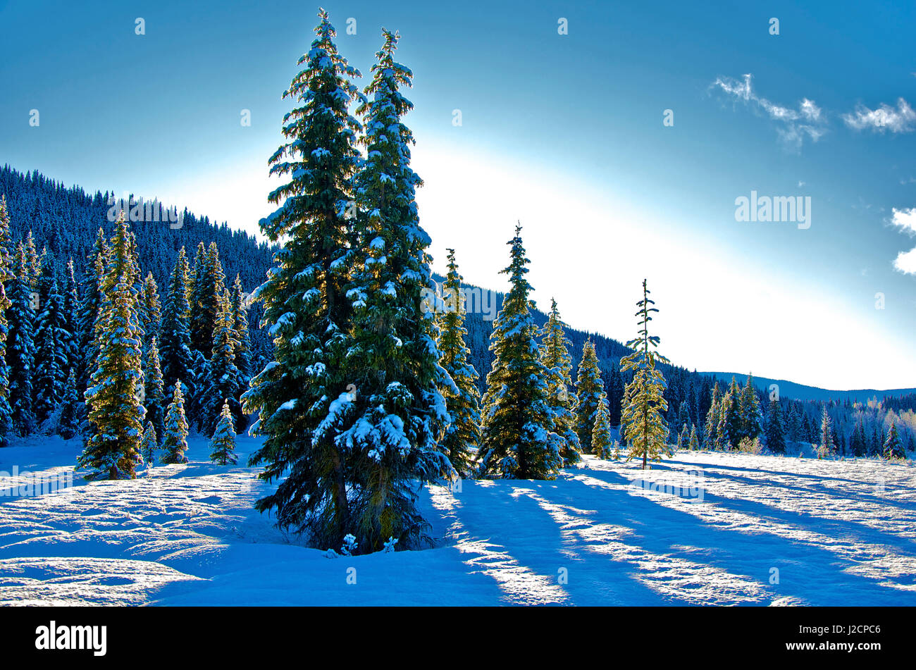 Winter frost. Winter in British Columbia brings a variety of landscapes ...