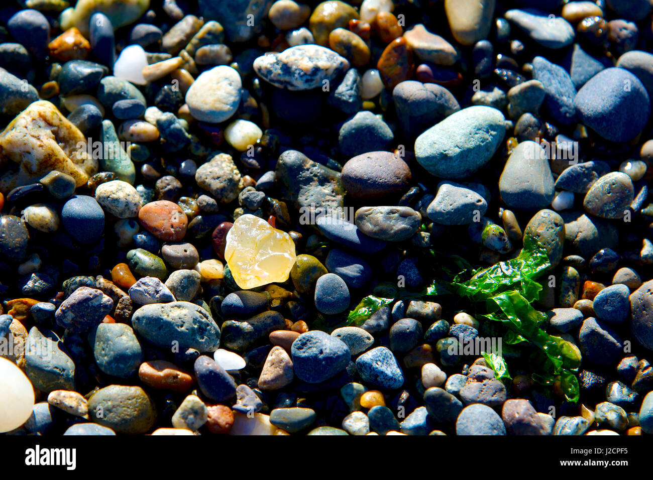 Haida Gwaii Islands, British Columbia. Agates are found on many of the ...