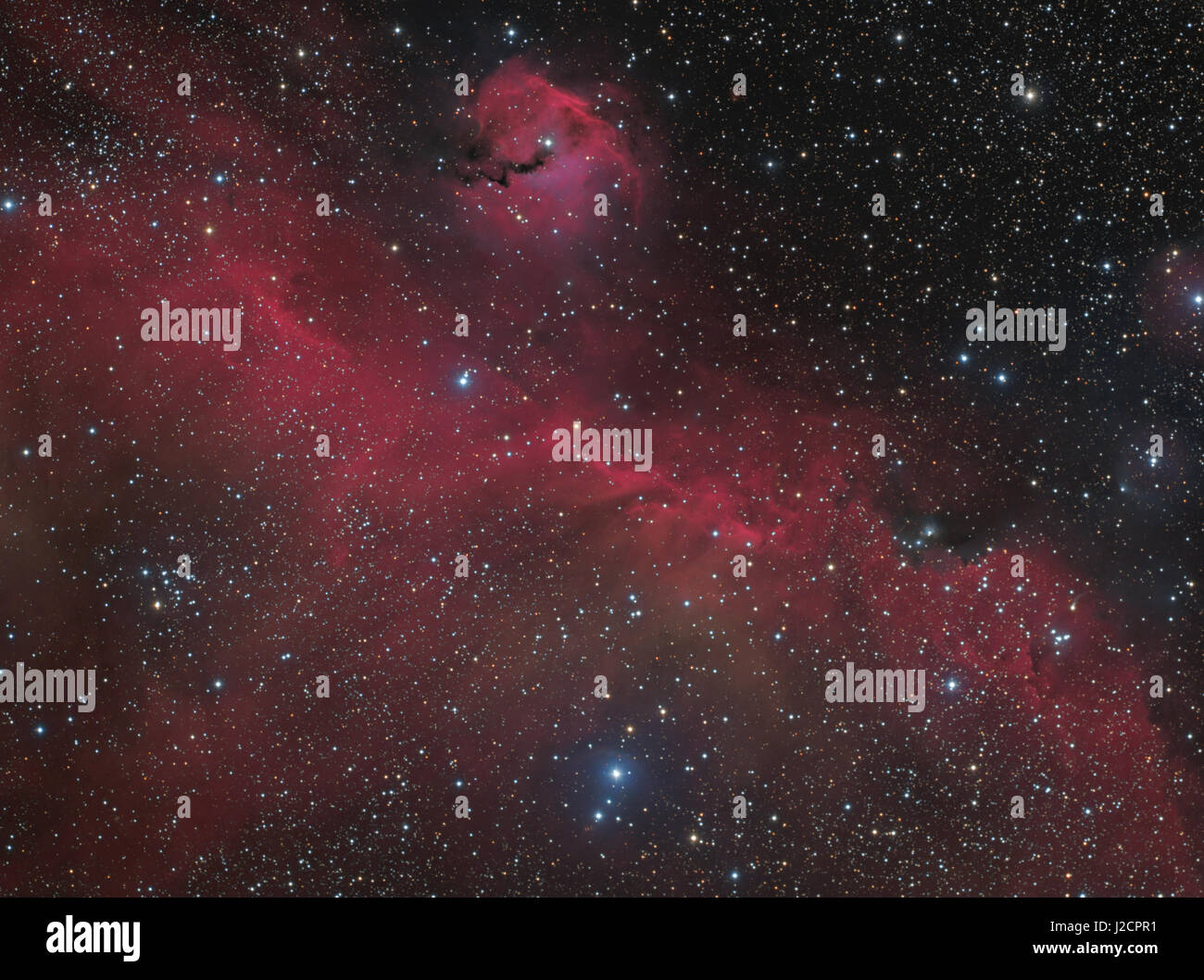 The Seagull Nebula (IC 2177) is a region of nebulosity that lies along ...