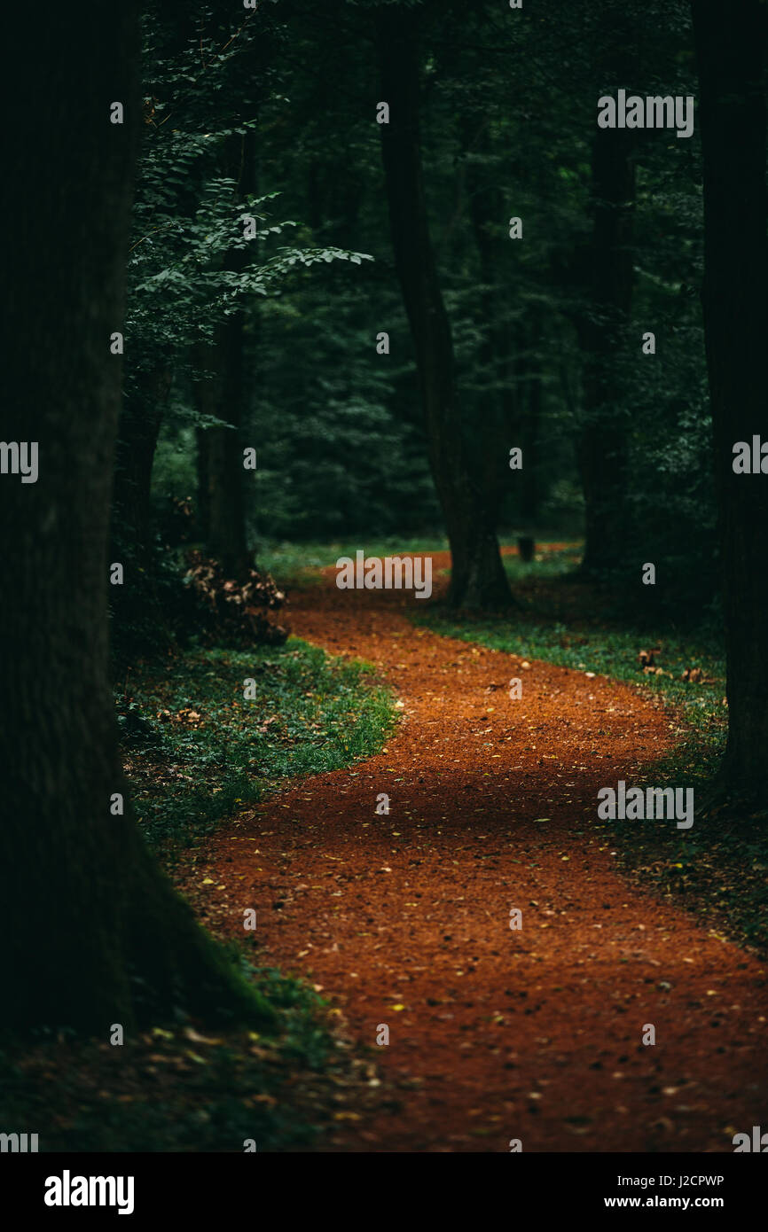 Mystic walk hi-res stock photography and images - Alamy