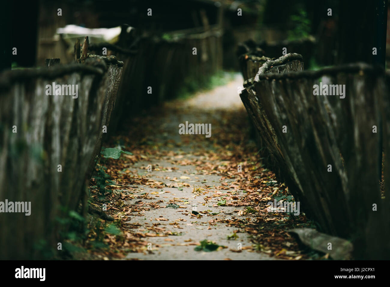 Walk way boardwalk path nature hi-res stock photography and images - Alamy