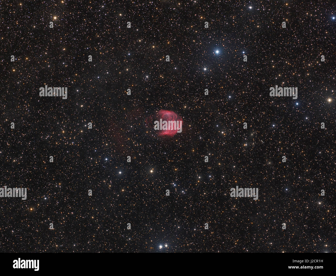 The Medusa Nebula (Abell 21, Sharpless 2-274) - a planetary nebula in ...