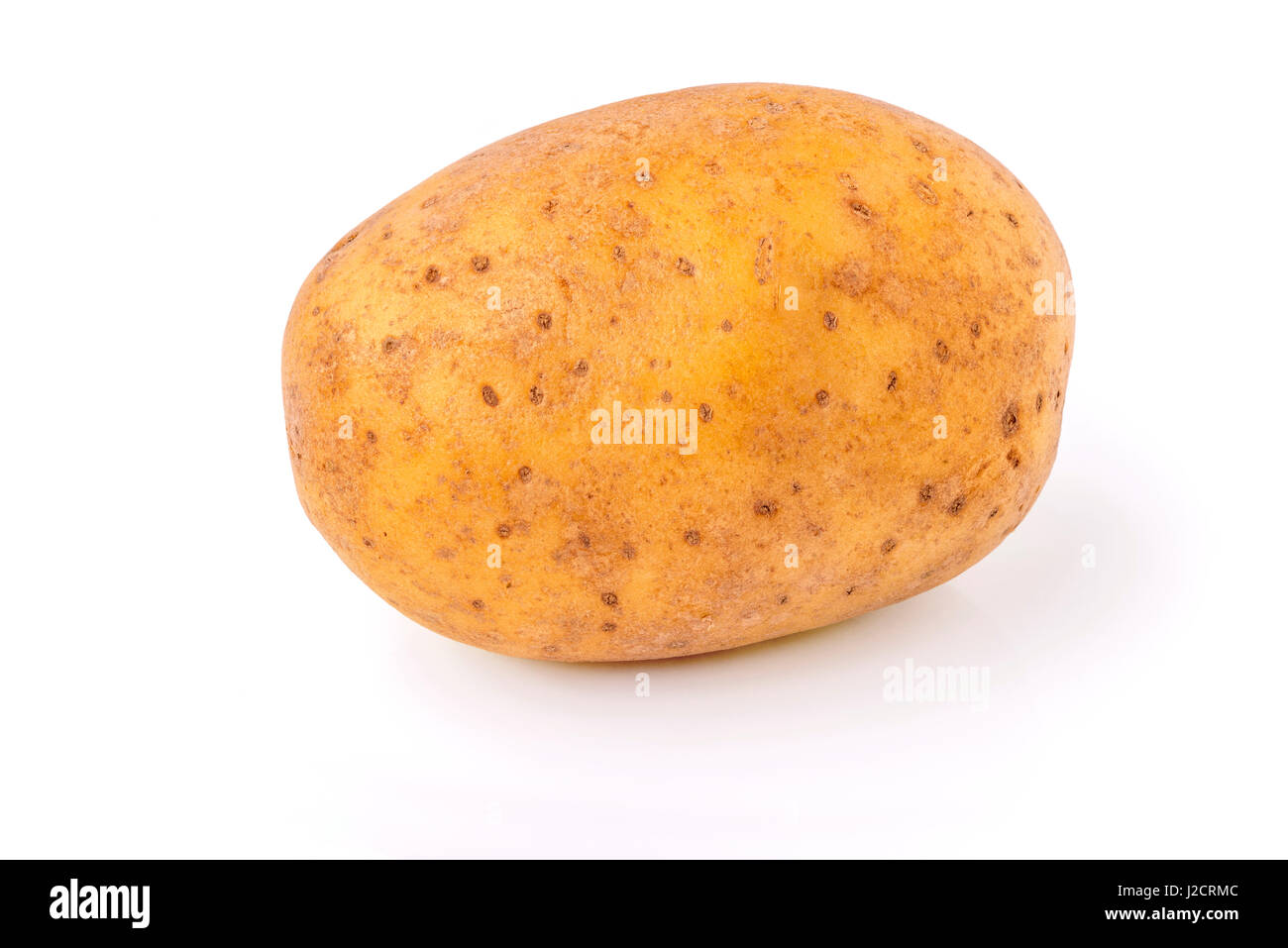 highly detailed ripe potato tuber isolated on white Stock Photo - Alamy