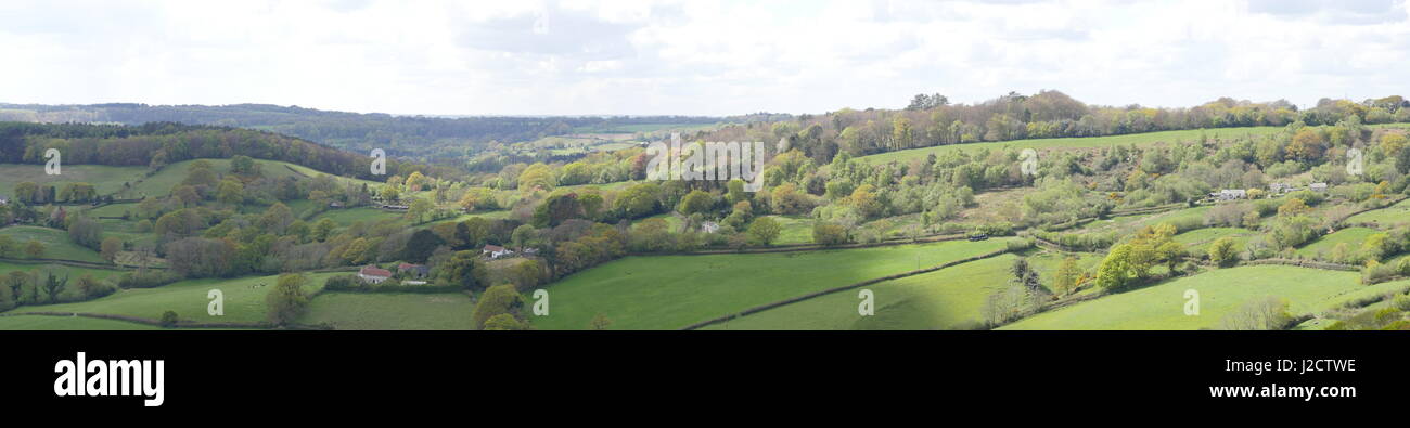 Marshwood dorset hi-res stock photography and images - Alamy
