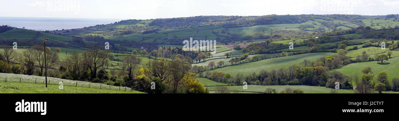 Marshwood Dorset High Resolution Stock Photography and Images - Alamy