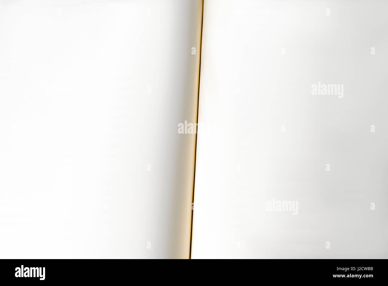 two white blank pages of an open book Stock Photo - Alamy