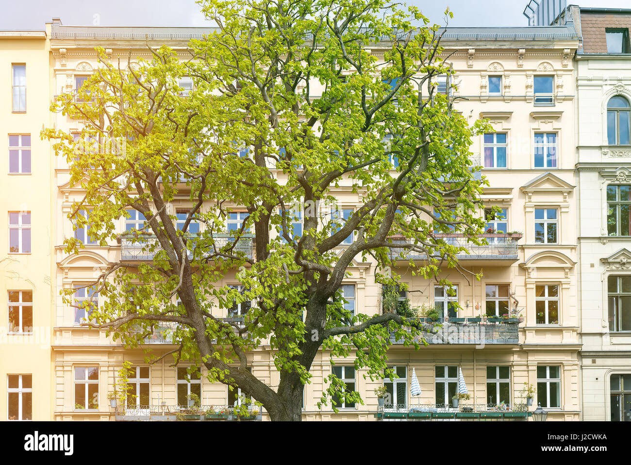 facade of an old house with a tree in front Stock Photo - Alamy