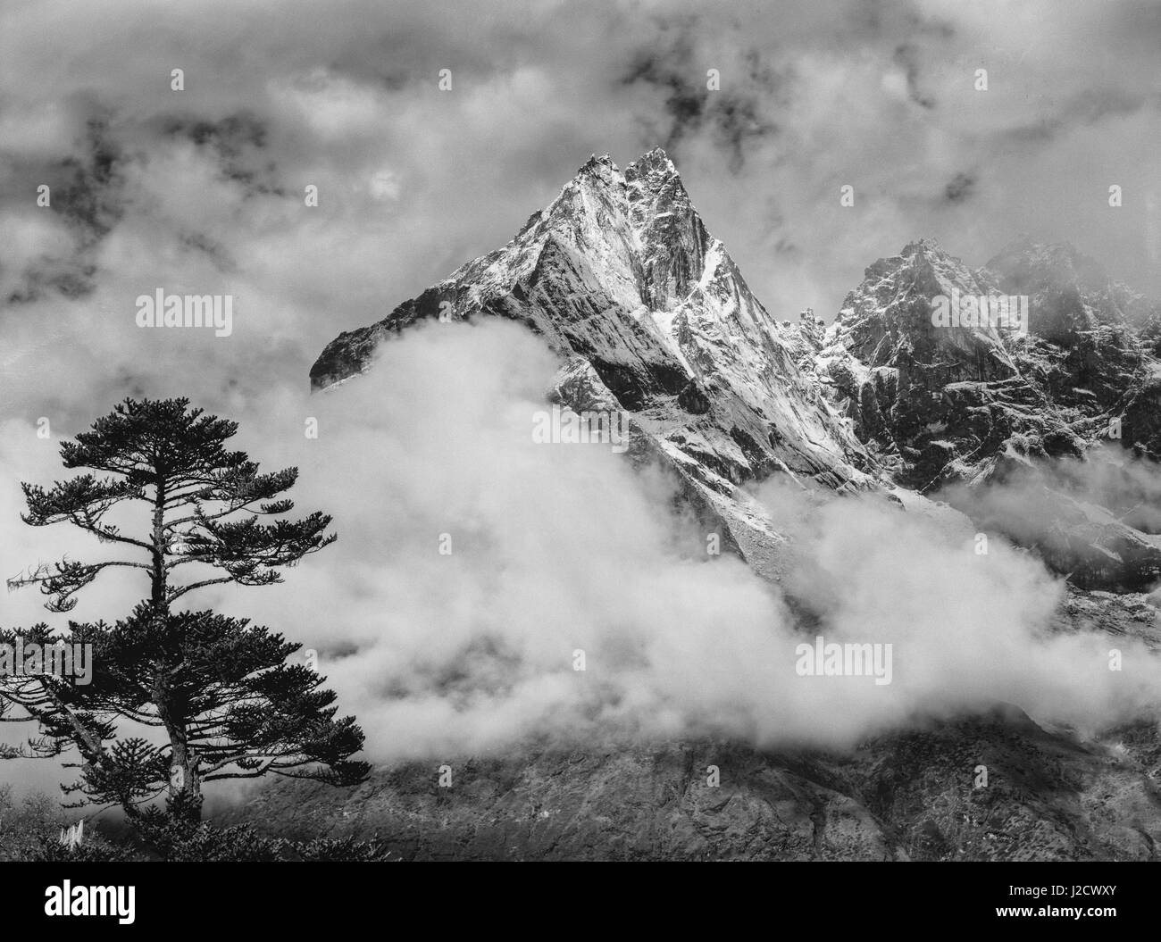 Nepal, Himalayas Mountain and Tree Stock Photo - Alamy