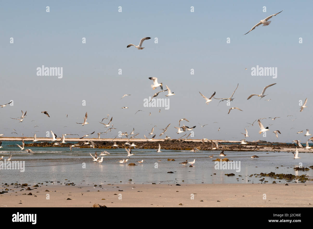 Masirah island, Oman Stock Photo - Alamy