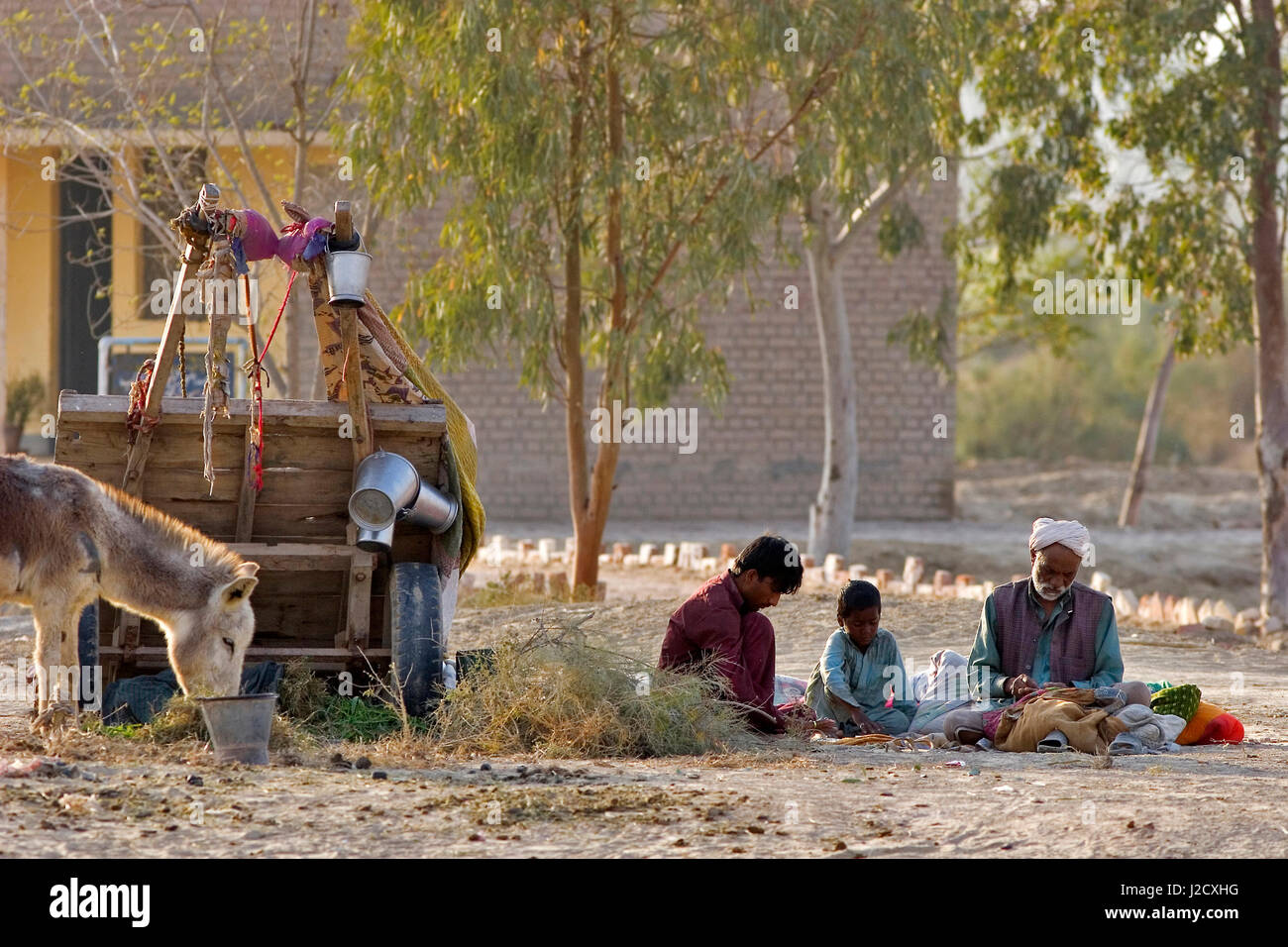 People gathering up for Channan Peer festival in Cholistan, Bahawalpur ...