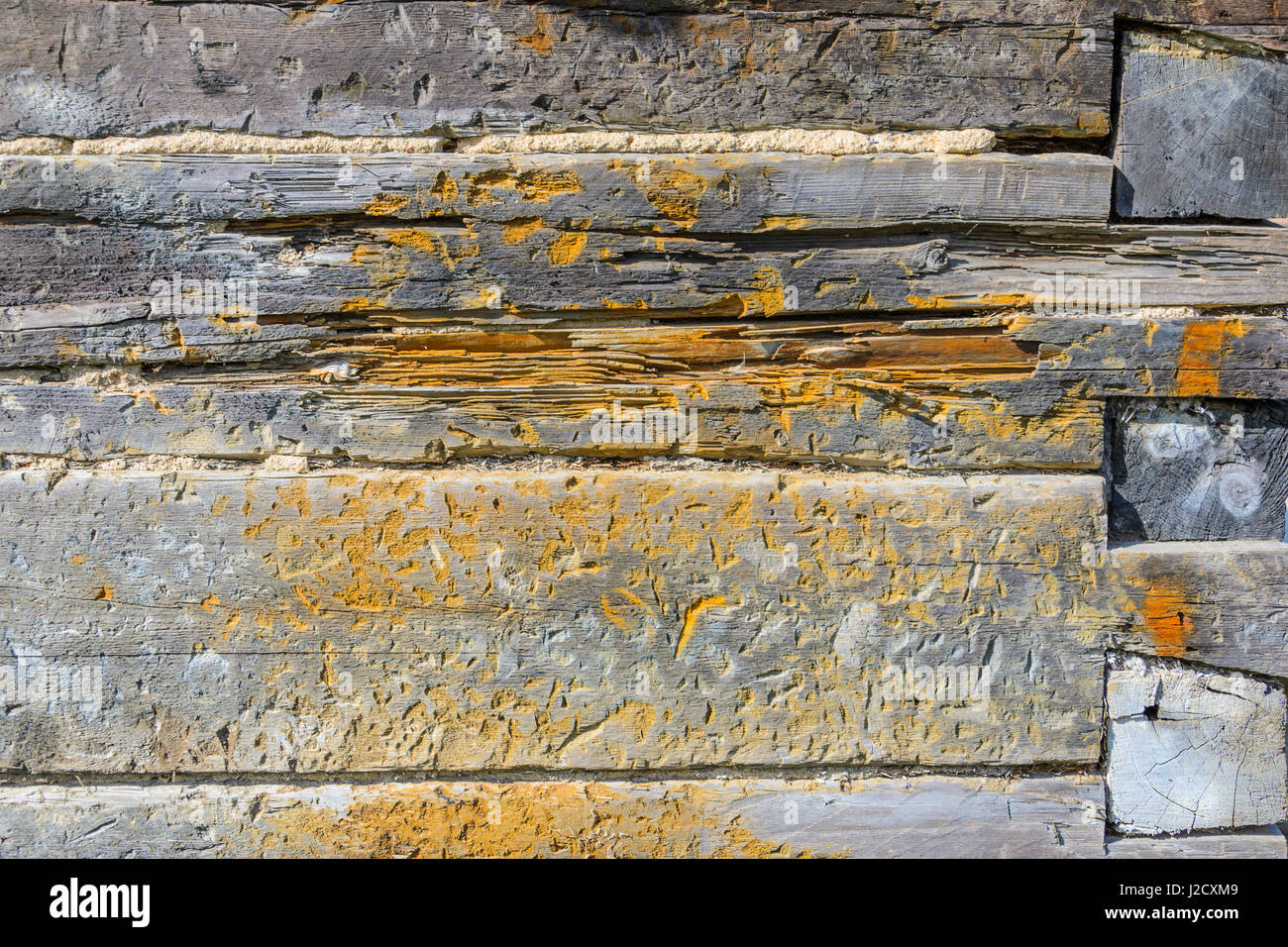 Fragment of the wall of an old wooden house. The end of a log Stock ...