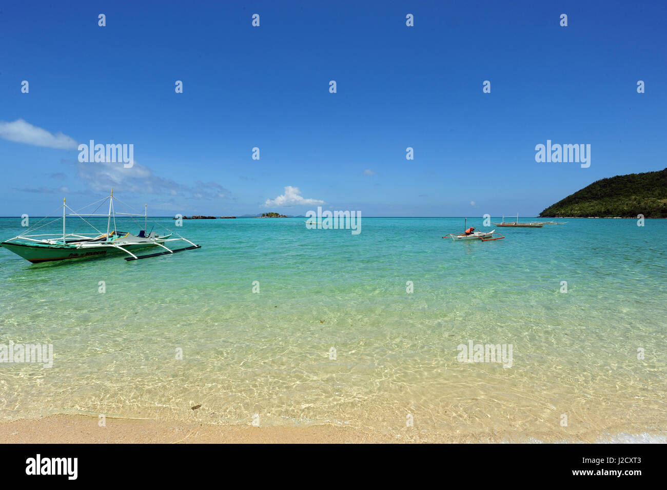 Philippines, Western Visayas, Iloilo, Sicogon, starfish in transparent ...