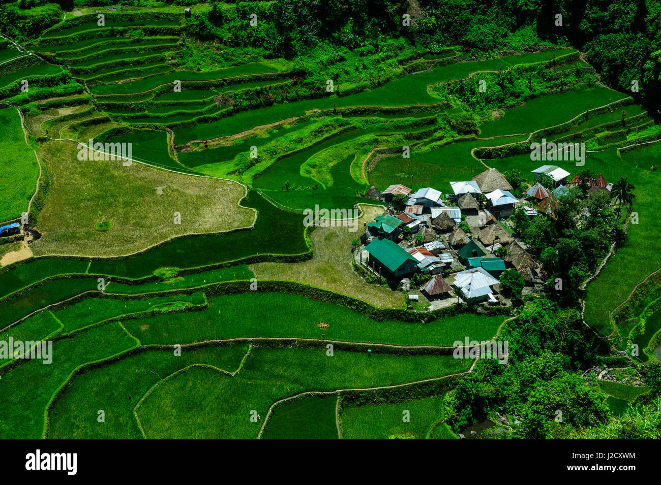 Bangaan in the rice terraces of Banaue, Northern Luzon, Philippines ...