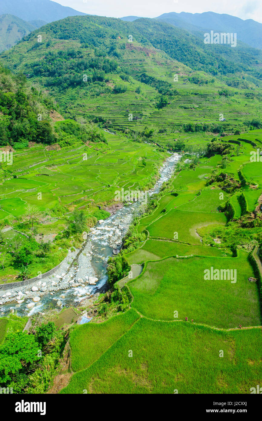 Hapao Rice Terraces, part of the World Heritage Site Banaue, Luzon ...