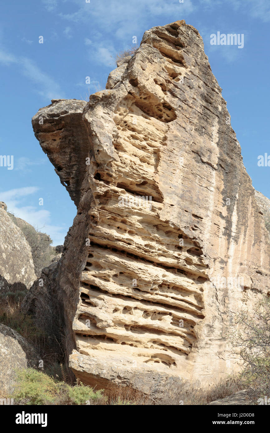 Azerbaijan, Qobustan. Webbed limestone erosion at Gobustan National ...