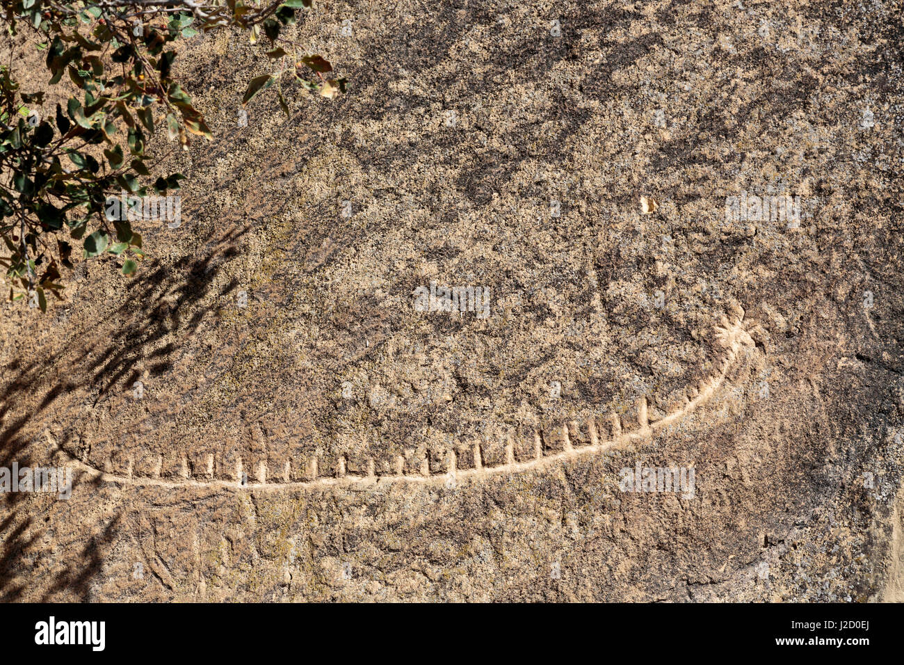 Azerbaijan, Qobustan. A petroglyph carved into a rock wall at Gobustan ...