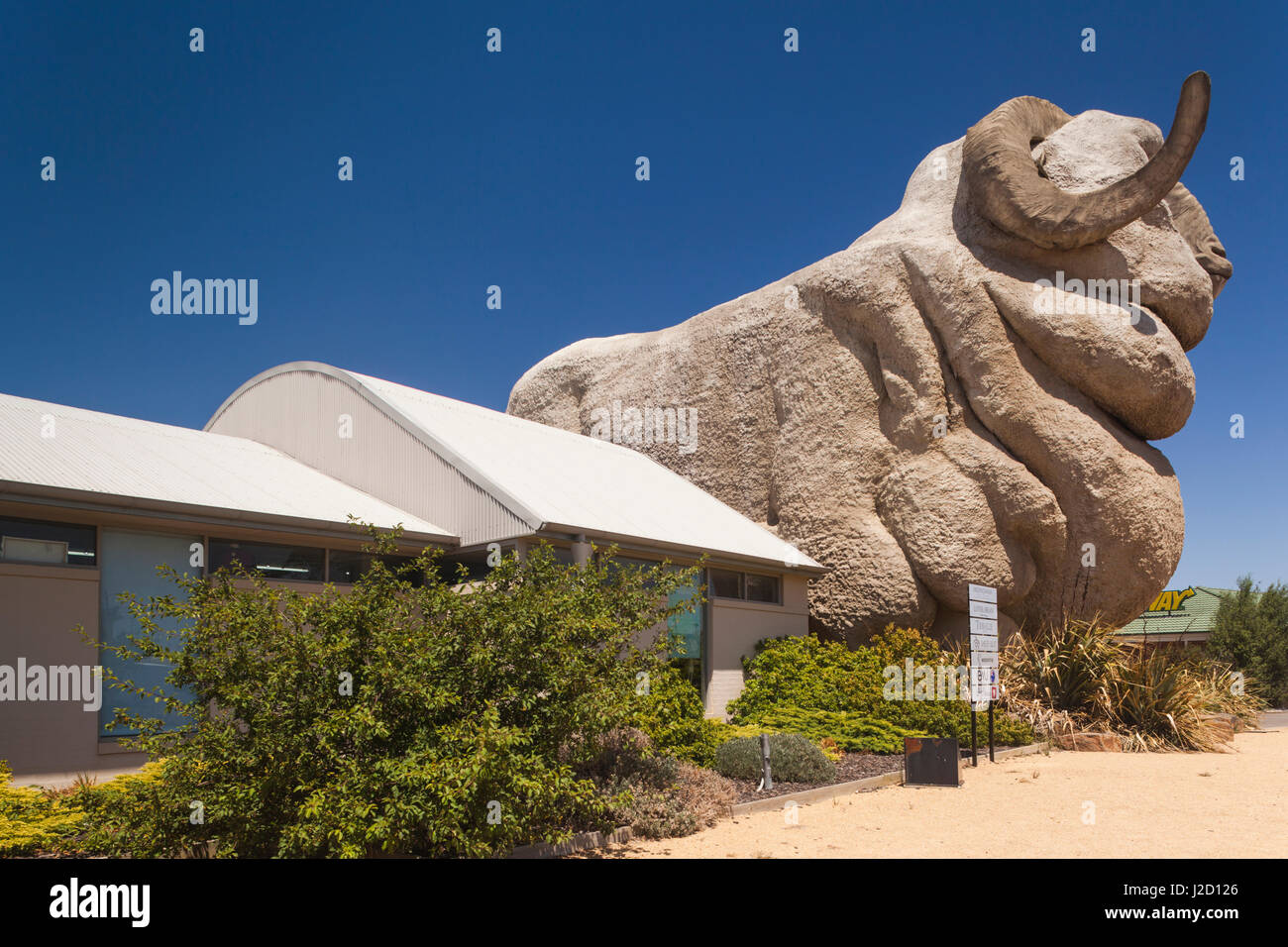 Goulburn big merino hi-res stock photography and images - Alamy