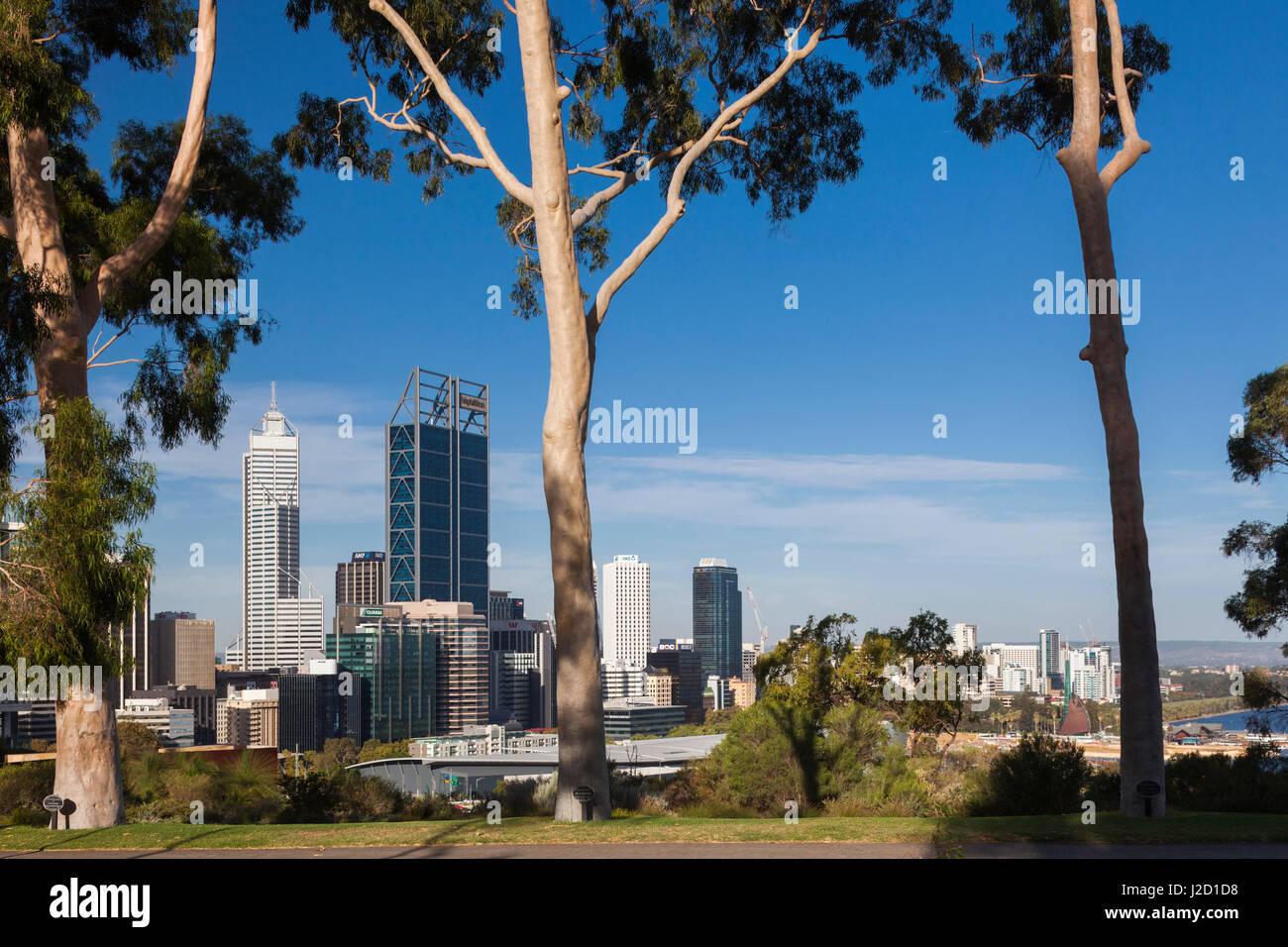 Australia, Perth, city skyline from Kings Park, late afternoon Stock ...