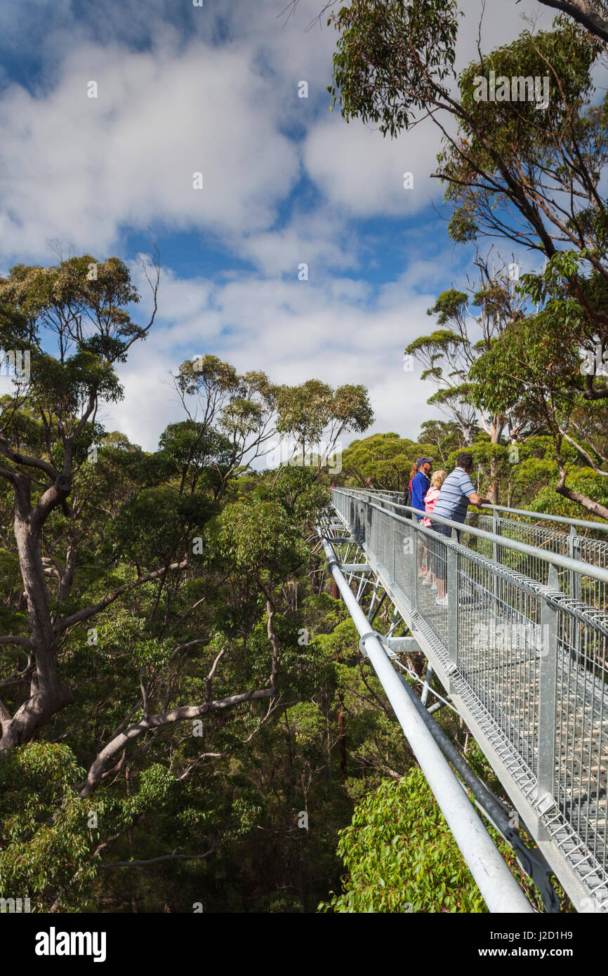 Southwest Australia, Walpole-Nornalup, Valley of the Giants Tree Top ...
