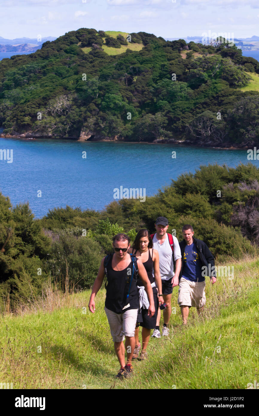 Urupukapuka island bay islands new hi-res stock photography and images ...