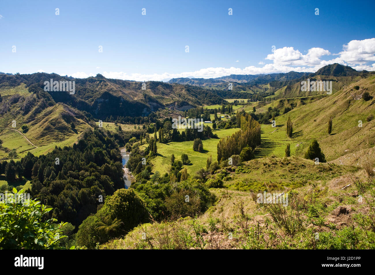 Farmlands in Whakahoro, in the Whanganui National park of New Zealand ...